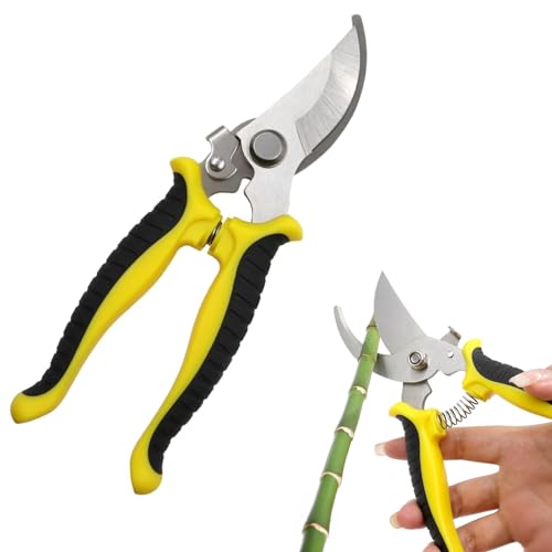 Amazon.co.uk Best Sellers: The most popular items in Secateurs ...