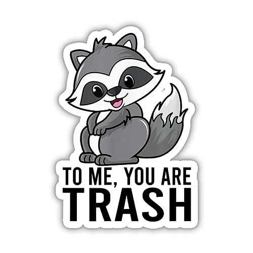 Amazon.com: To Me You Are Trash Sticker, Funny Trash Panda Sticker ...
