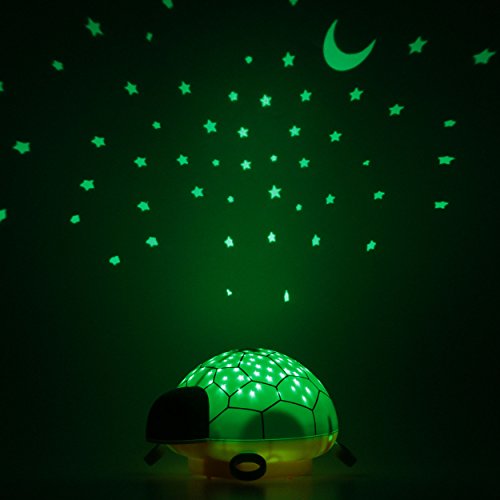 Schildkrote Als Nachtlicht