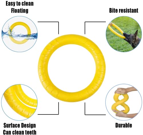 Floating Dog Ring Toys for Catching - Buy Online