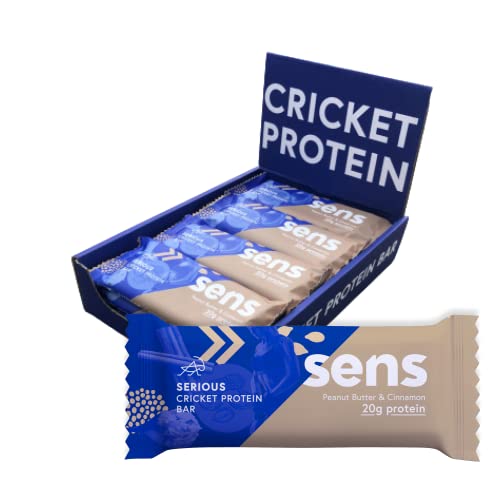 Cricket and Other Insect Protein Bars