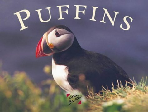 Puffins (Scotland Gift Books): Baxter, Colin: 9781841070865: Amazon.com ...