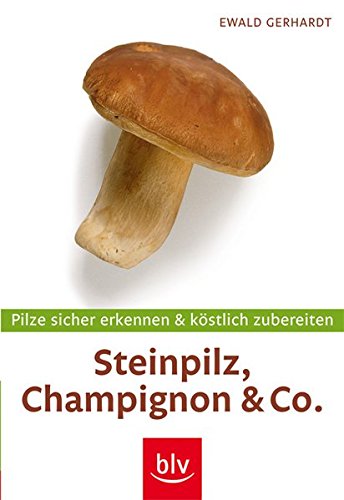 Pilze: Champignon Und Co. Richtig Zubereiten – OOOI