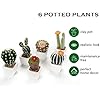 Amazon.com: Mini Artificial Cactus Plants in Ceramic Pots 6 Pcs Potted ...