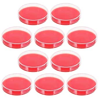 10pcs Agar Plates - Plastic Agar Medium Bioassay Equipment for Lab ...