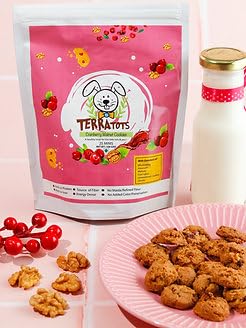 Terratots - Cranberry Walnut Cookies (100 Gms) : Amazon.in: Grocery ...