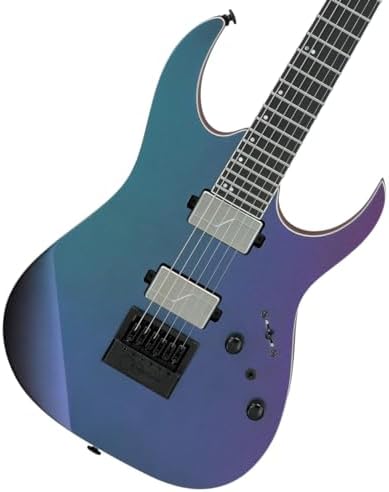 Amazon.com: Ibanez Prestige RG5121ET Electric Guitar - Polar Lights ...