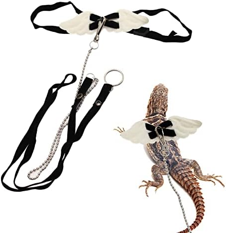 Amazon.com : Bearded Dragon Harness and Leash, Adjustable Reptile ...