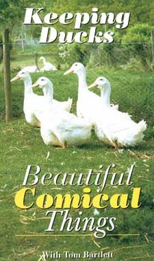 Amazon.com: Keeping Ducks: Beautiful, Comical Things DVD : Tom Bartlett ...