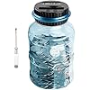 Digital Coin Bank, Jeowoqao Coin Counting Jar with LCD Display, 1.8L ...