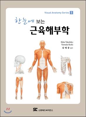 Muscle anatomy (Korean Edition) | Amazon.com.br