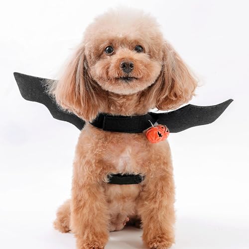 AWAVM Cat Bat Wings Costume with Pumpkin Bells | Adjustable Felt Design ...
