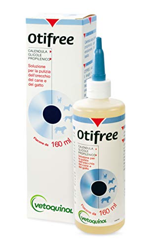 Otite nel cane: sintomi e cura. Guida!