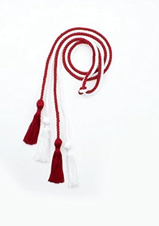 Amazon.com: Tassel Depot Alpha Sigma PHI Greek Graduation Honor Cord ...