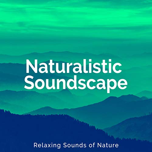 Amazon Music - Relaxing Sounds of NatureのNaturalistic Soundscape ...