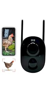 Amazon.com: Coop Smart WiFi Chicken Camera – 1080p HD, Night Vision, AI ...
