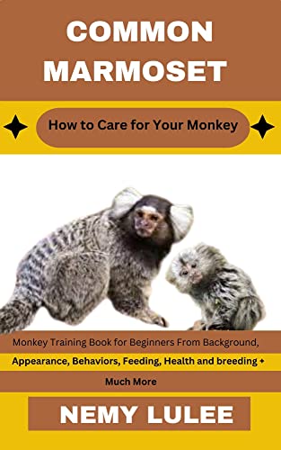 COMMON MARMOSET How to Care for Your Monkey : Monkey Training Book for Beginners From Background ...
