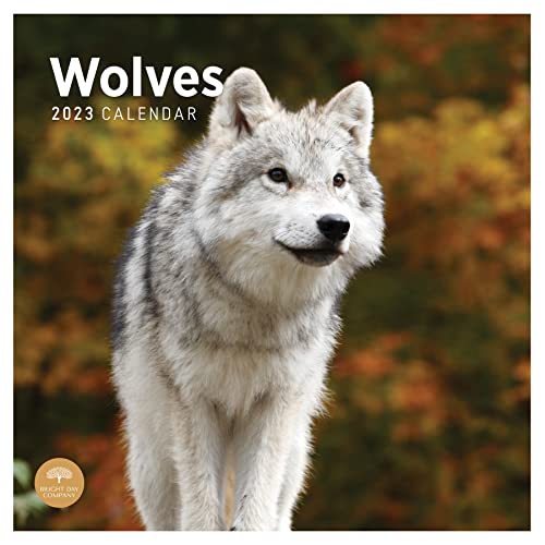 Top 22 Best Wolf Calendars 2023 - CalendarBuy.com