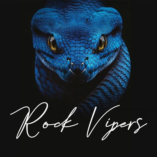 Amazon.com: Rock Vipers [Explicit] : VARIOUS ARTISTS: Digital Music