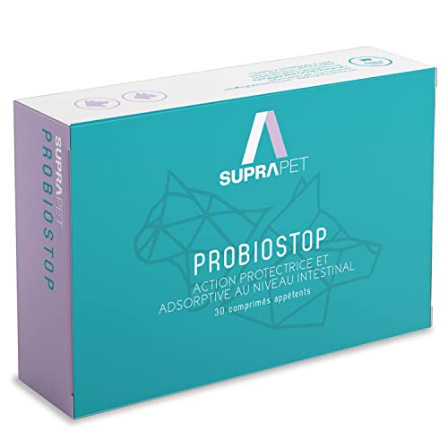 Probiotique Pour Chien – Les 15 meilleurs produits dans la comparaison ...