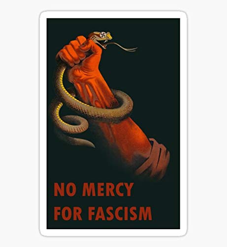 Amazon.com: No Mercy for Fascism - Anti-Fascist Art - Sticker Graphic ...