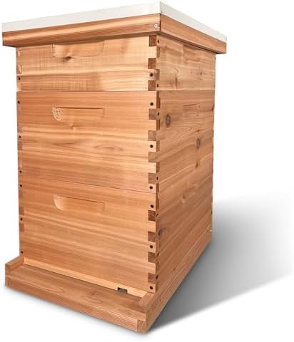 Amazon.com: Luxurious Cedar Wood Beehive: Durable, Eco-Friendly ...