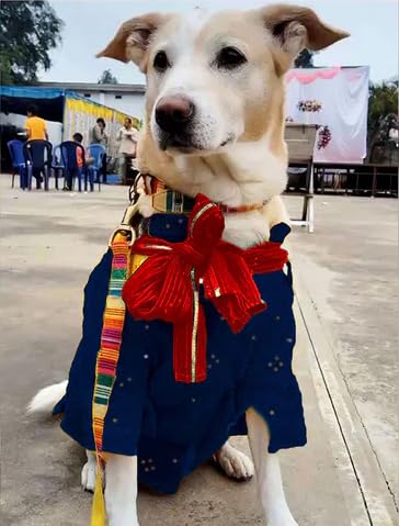 Wrap In Fur Dog Kurta with Dupatta, Dog Wedding Outfit, Dog Festival ...