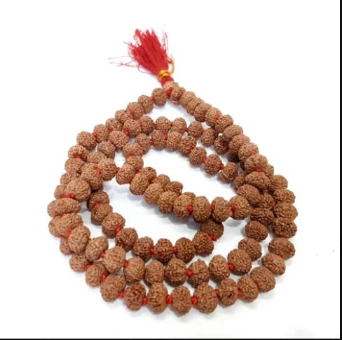Beauty Gems Panchmukhi Rudraksha Original Certified by IGL Lab 5 Mukhi ...