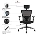 INNOWIN Jazz-Legend High-Back Office Chair Mesh Ergonomic Chair for ...