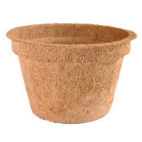 Cocoblooms Coir Pot 10 Inches-Brown-Pack of 5 : Amazon.in: Garden ...