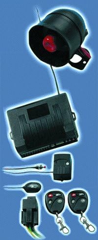 Amazon.com: Car Security Alarm Remote Trunk /Panic Silent Arm Disarm ...