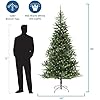 Amazon.com: Philips 7.5' Pre-Lit Christmas Tree - Fraser Fir Tree with ...