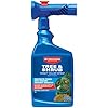 Amazon.com: BioAdvanced Tree & Shrub Insect Killer Spray, Concentrate ...