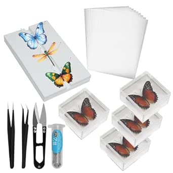 Insect Specimen Tools Kit Insect Display Case Insect Specimen Tools ...