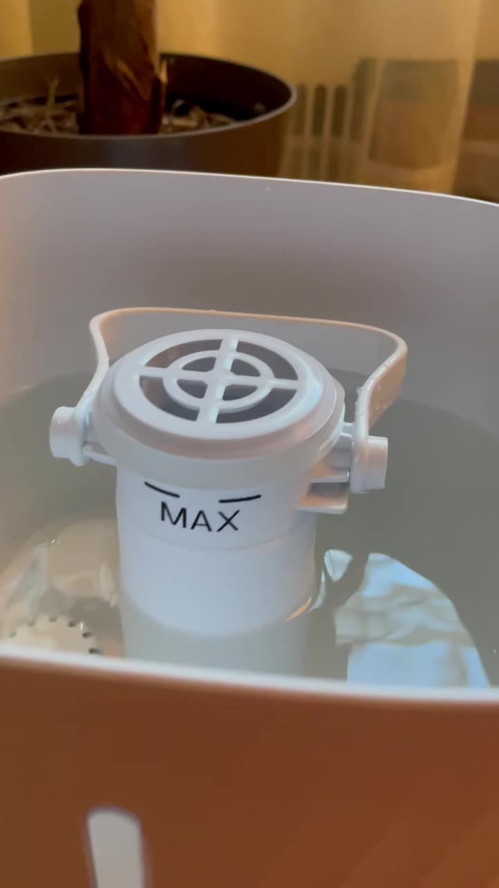 Watch Miko Humidifier in use on Amazon Live