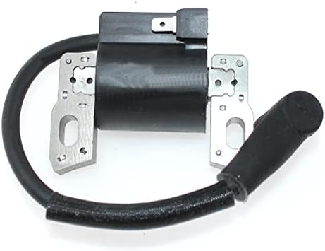 Amazon.com: IGCLINIC 595291 796500 595554 796499 594423 Magneto ...