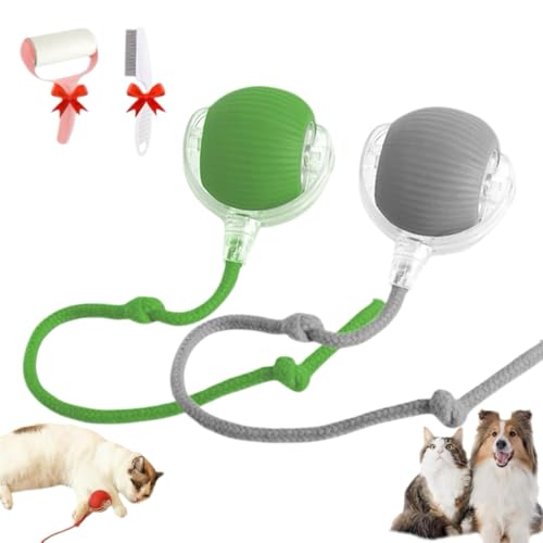 Amazon Best Sellers: Best Automatic Dog Toy Ball Launchers