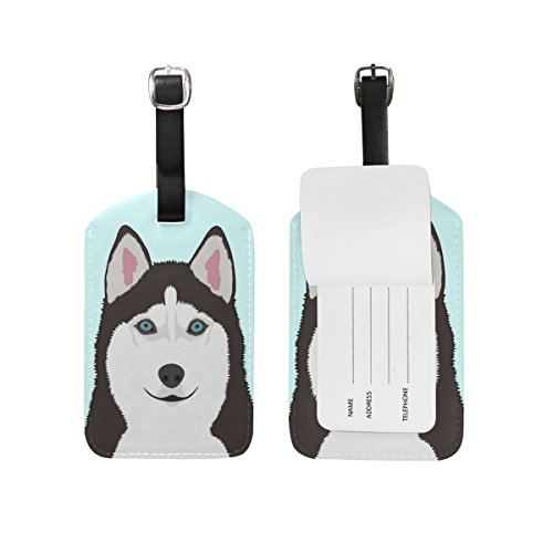 Best Siberian Husky Dog ID Tags: Stylish Solutions for Your Furry ...