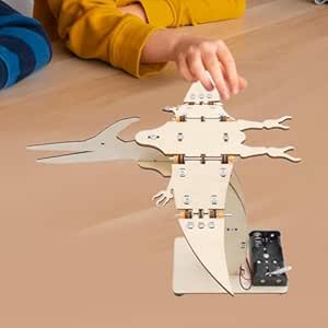 bnf® DIY Pterosaur Model Kit Steam Education Dinosaur Kit for Teens ...