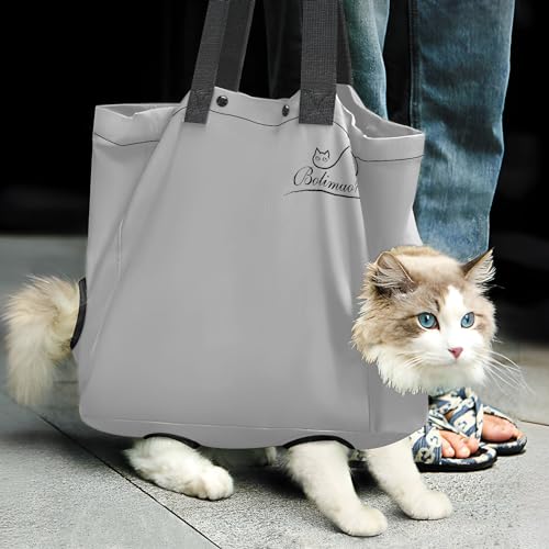 Cat Bag Carrier – The 15 best products compared - Wild Explained
