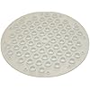 Amazon.com: Hayward ECX1004 Replacement Tube Sheet Top/Bottom Pool ...
