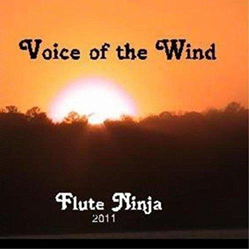 Play Voice of the Wind by Flute Ninja on Amazon Music