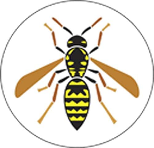 Amazon.com - Aggressive Scary Poisonous Wasp Insect Cartoon Vinyl Decal ...