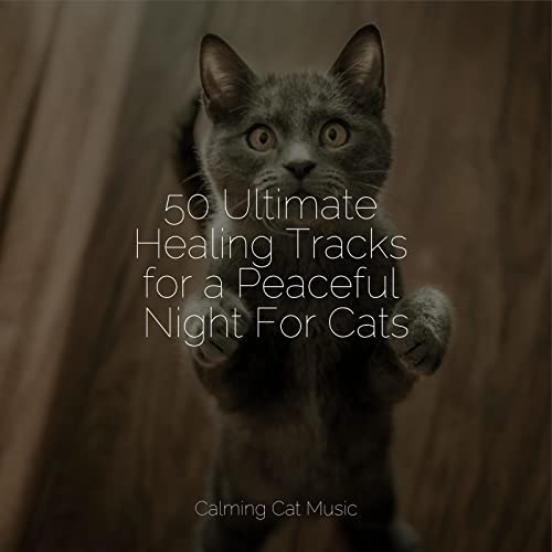 Écouter 50 Ultimate Healing Tracks for a Peaceful Night For Cats par ...