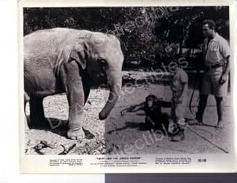 MOVIE PHOTO: TAFFY AND THE HUNTER-1965-8X10 PROMO-ELEPHANT & CHIMP FN ...