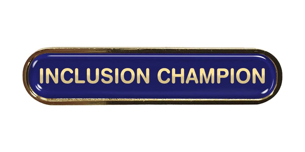 Inclusion Champion Blue Gel Domed School Bar Badge : Amazon.co.uk: Fashion
