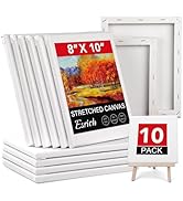 Amazon.com: ESRICH Stretched Canvases for Painting 8x10, 10 Pack 8x10 ...