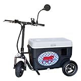 Cruzin' Cooler - Rideable Electric Beverage Cooler | The Green Head
