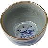 Amazon.com | Jingdezhen Hand-painted Howling Tiger Crackle Ice Pattern ...
