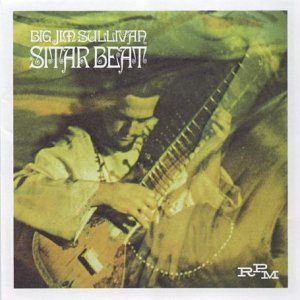 Amazon.com: Sitar Beat: CDs & Vinyl